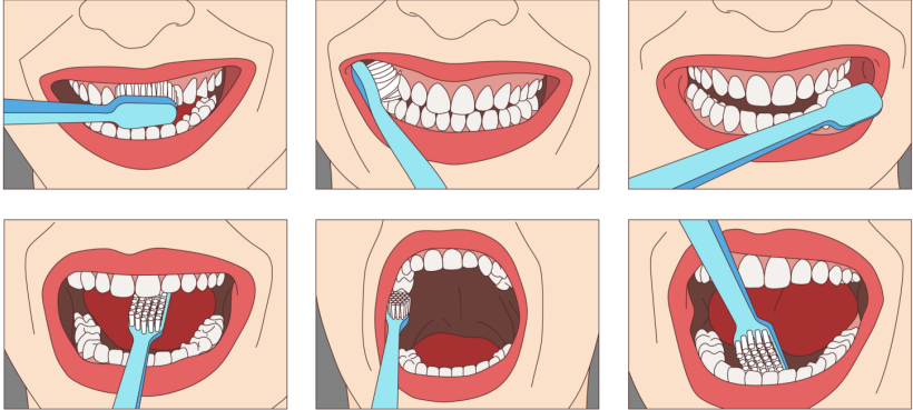 How to brush your teeth properly - Polaris Dental
